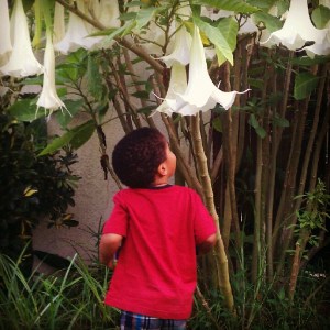 The Story of The Other Honey Boo Boo Child – Our Modern Family