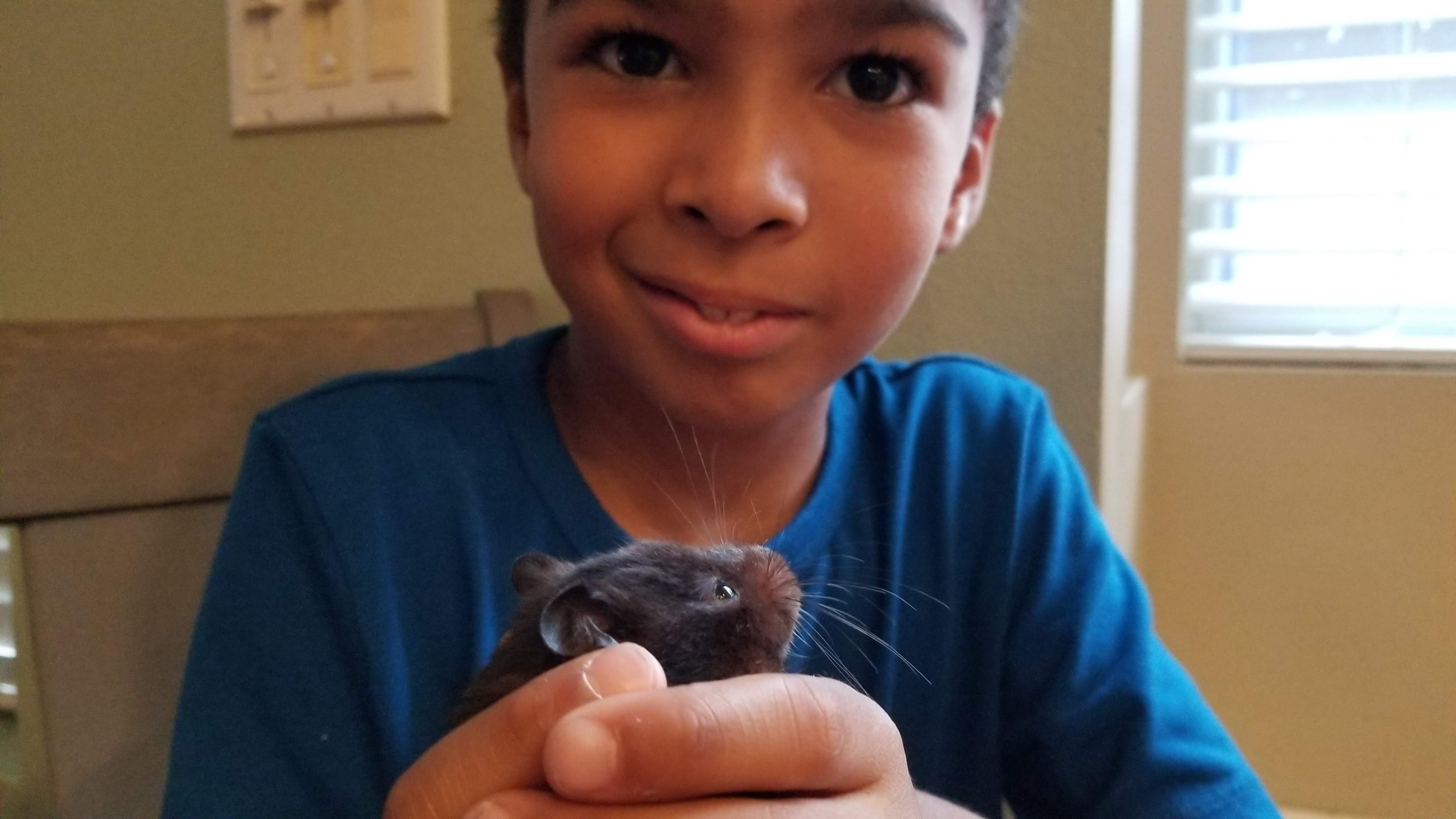 RIP Sniffy – Our Modern Family